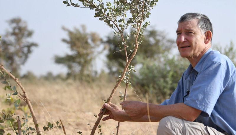 Australian famer Tony Rinaudo's God given gift for the world ...